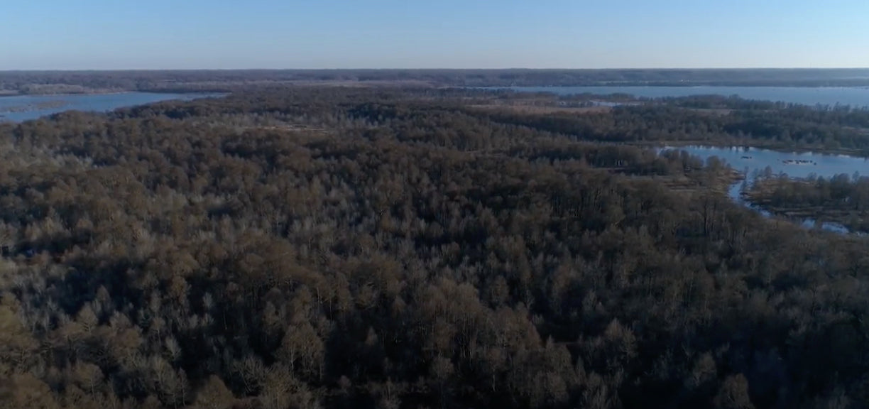 Higdon Outdoors TV - 301 "Return to Reelfoot"