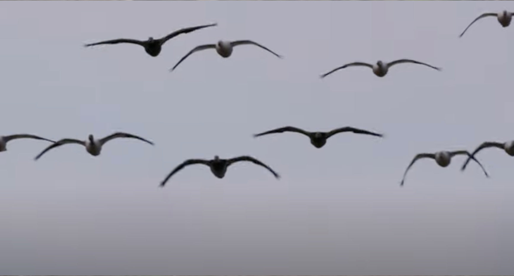 BEAU HUNTING - "Smacking Spring Snows Over Clones" – Higdon Outdoors