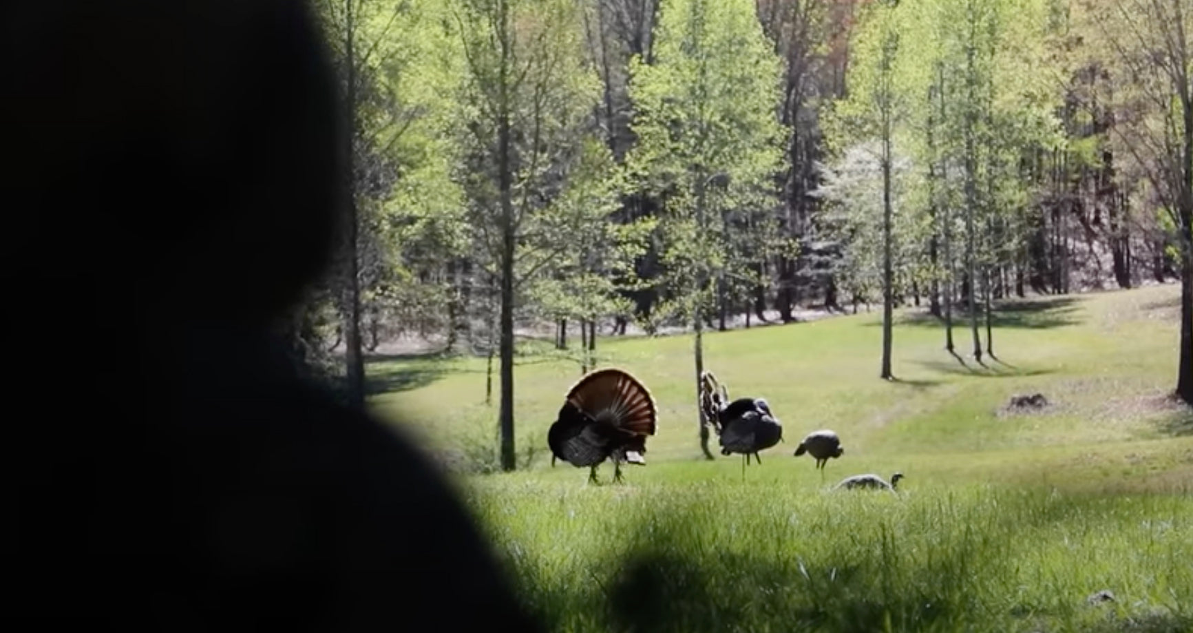 BEAU HUNTING - "Georgia Opening Weekend 2023" – Higdon Outdoors