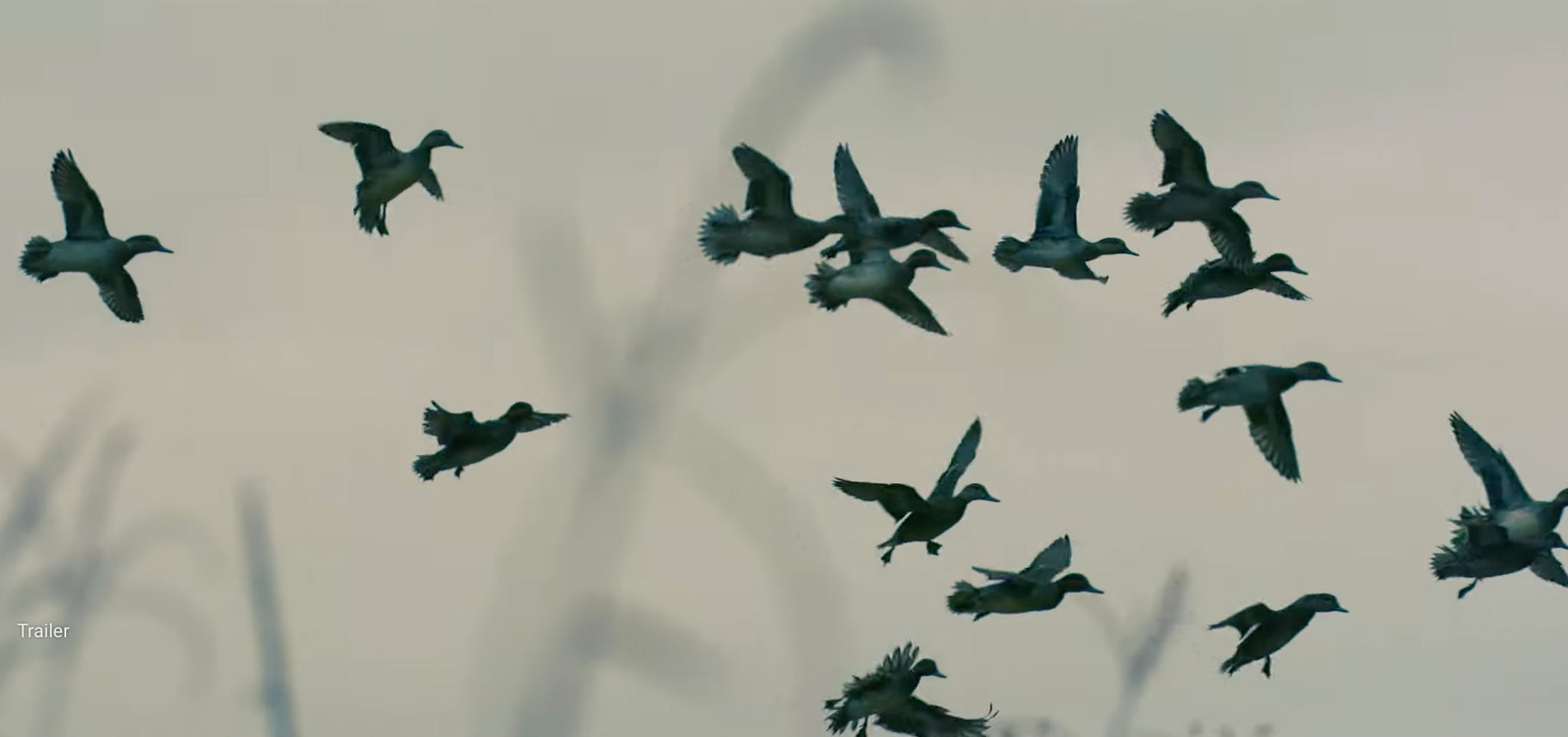 HIGDON OUTDOORS TV - 812 - "Morning Woods" – Higdon Outdoors