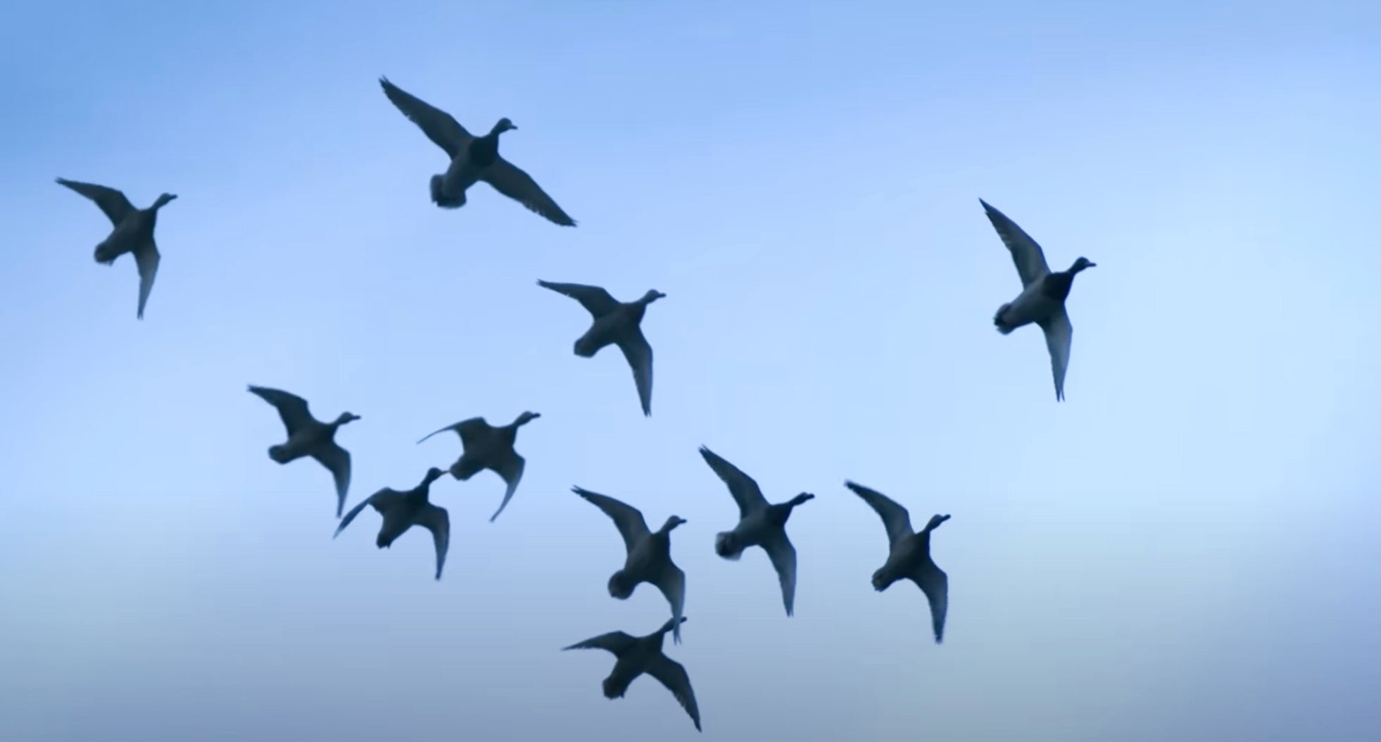 HIGDON OUTDOORS TV - 909 - "Money and Clouds" – Higdon Outdoors