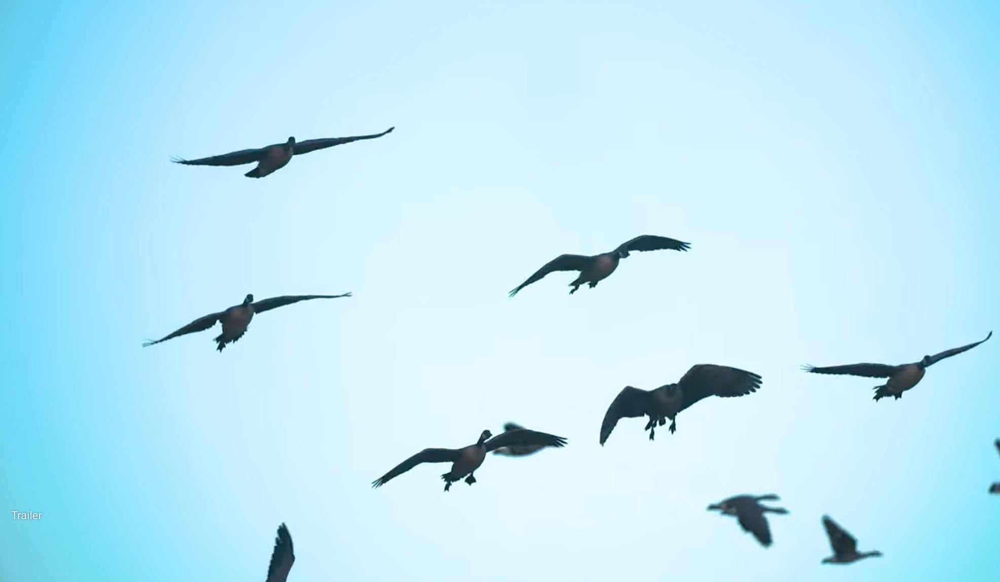 HIGDON OUTDOORS TV - 911 - "Locked Up and Locked Out" – Higdon Outdoors