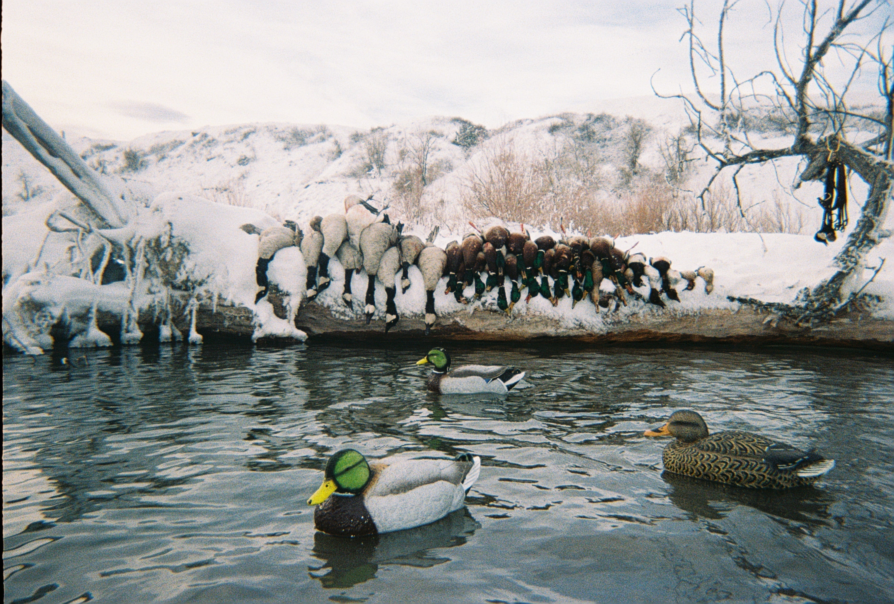 A Flatlander in a Faraway World – Higdon Outdoors