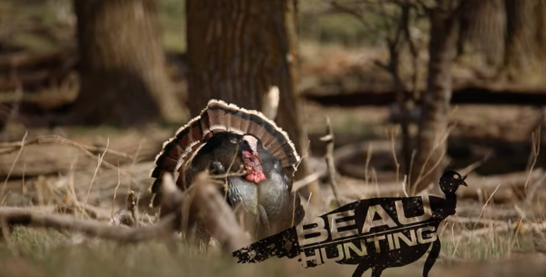 BEAU HUNTING - "Midwest Merriam's" Pt. 1 - Episode 2 – Higdon Outdoors