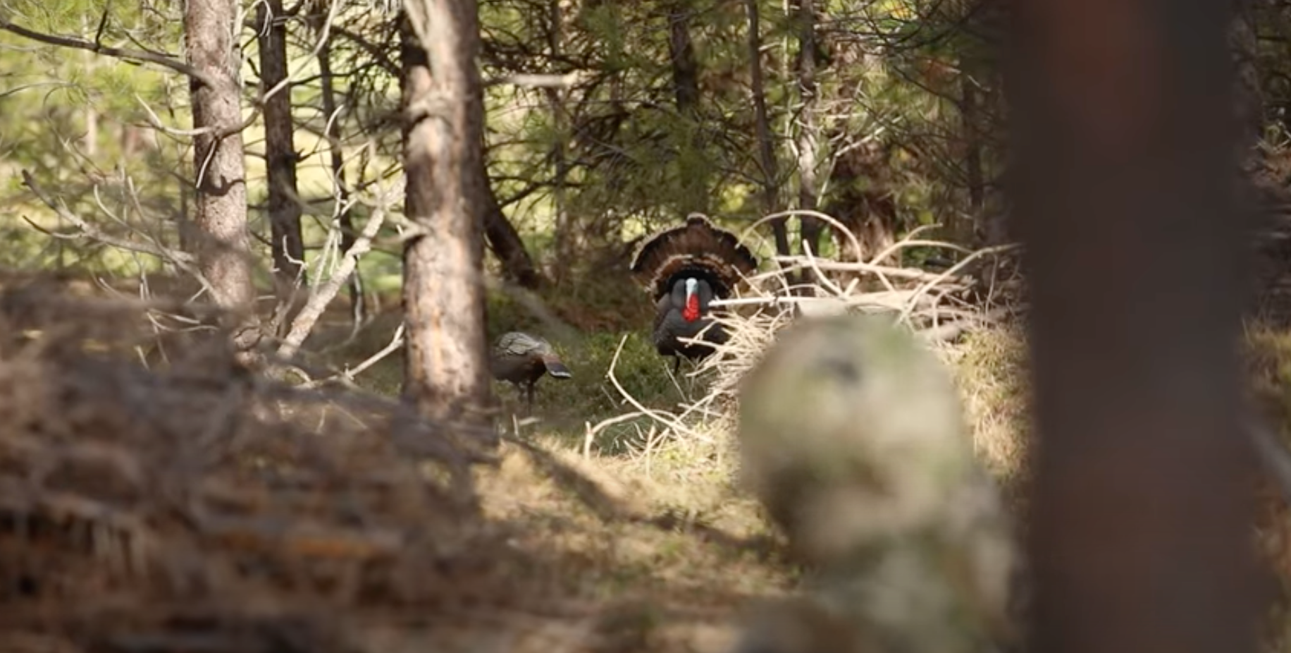 BEAU HUNTING - "Oregon Double" - Episode 1 – Higdon Outdoors