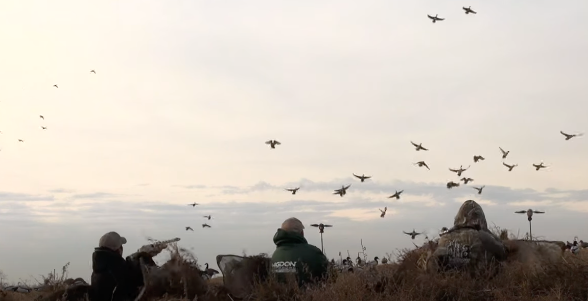 HIGDON OUTDOORS TV - 207 - "Mixed Bag Mayhem" – Higdon Outdoors