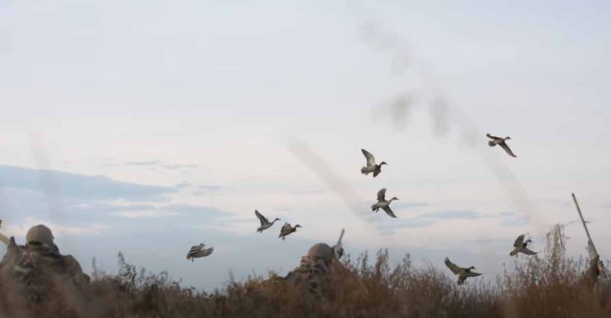 HIGDON OUTDOORS TV - 208 - "Mixed Bag Mayhem Part 2" – Higdon Outdoors