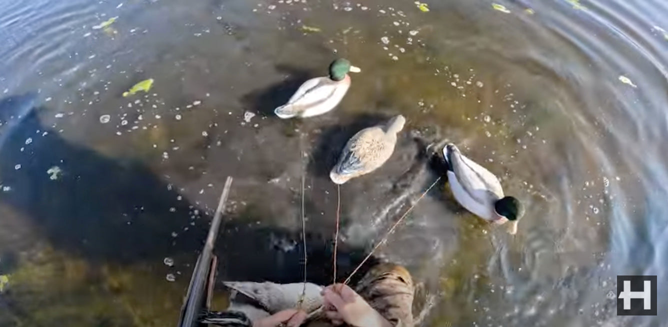 BEAU HUNTING - "Three Decoys Solo Hunt - Beau Hunting" – Higdon Outdoors