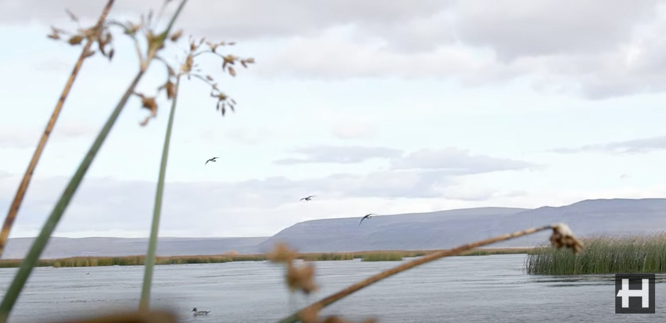 BEAU HUNTING - "Wigeon and Gadwall Smackdown (Public Land Limits ...