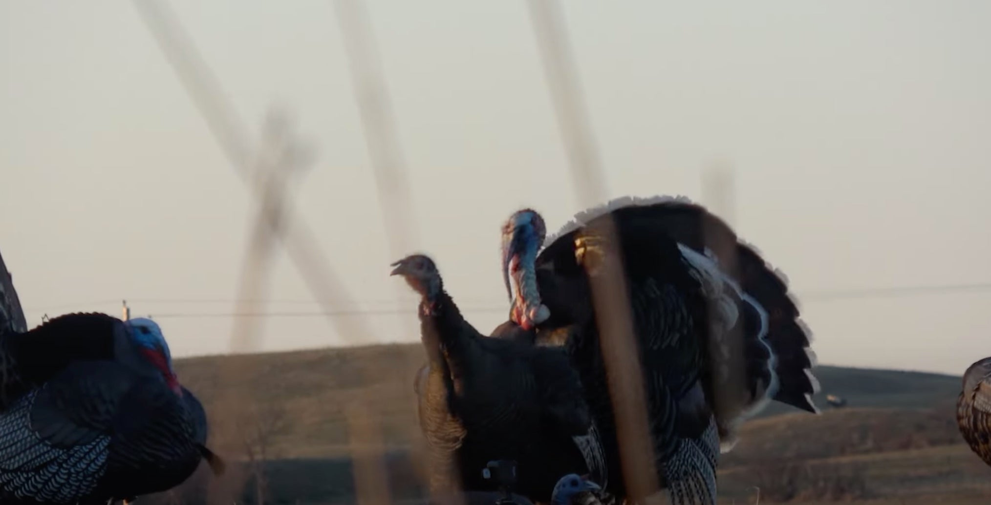 BEAU HUNTING - "Casey's True Merriam" - Episode 7 – Higdon Outdoors