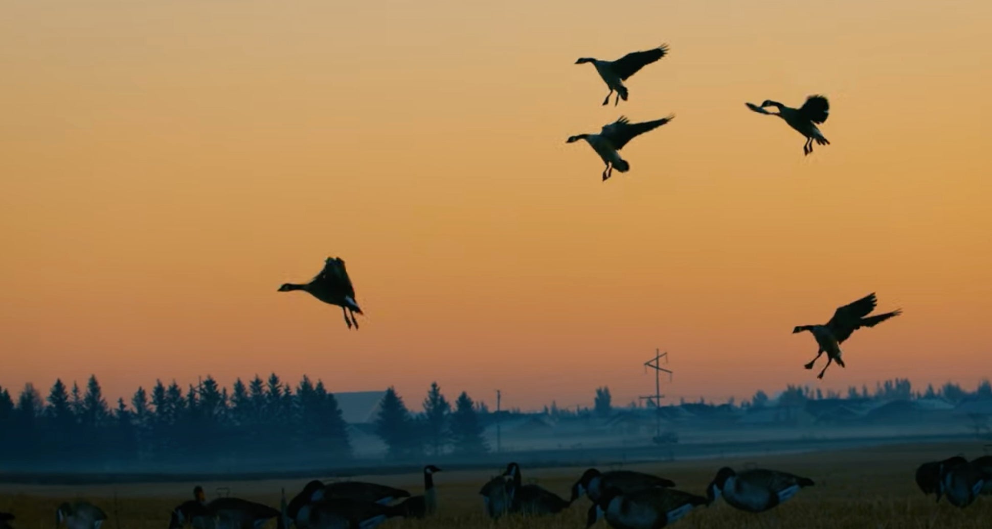 HIGDON OUTDOORS TV - 1001 - "Honkers" – Higdon Outdoors