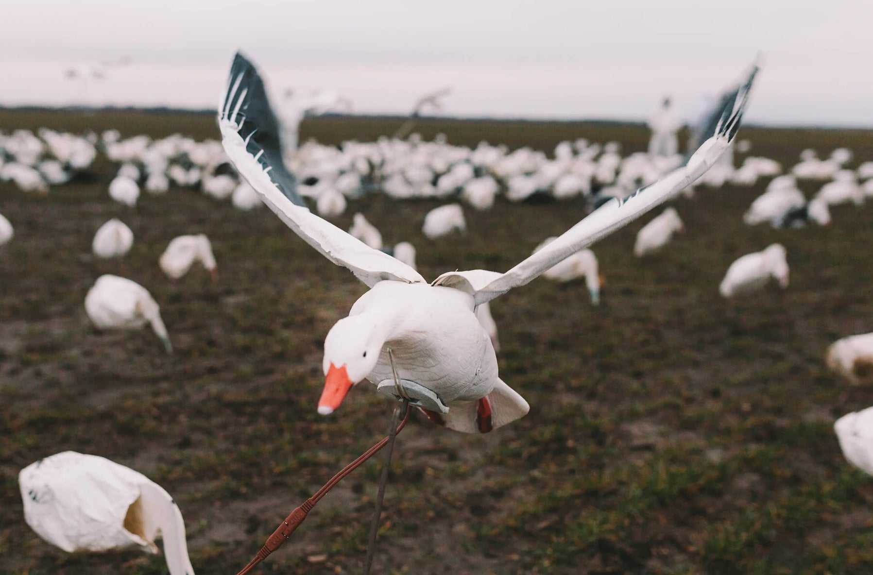Clone Parts – Higdon Outdoors