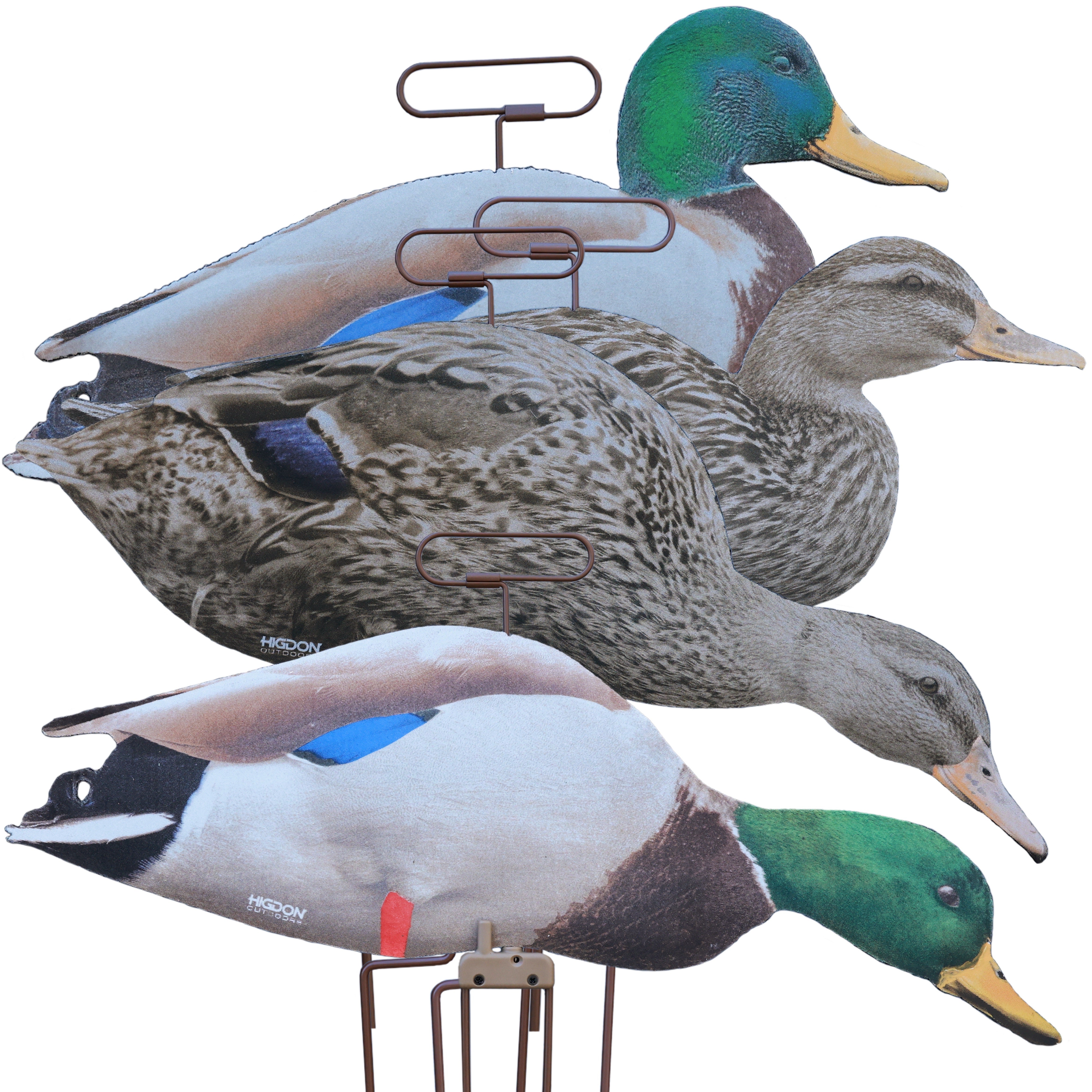 FLATS Mallard Duck Motion Silhouette, Flocked – Higdon Outdoors