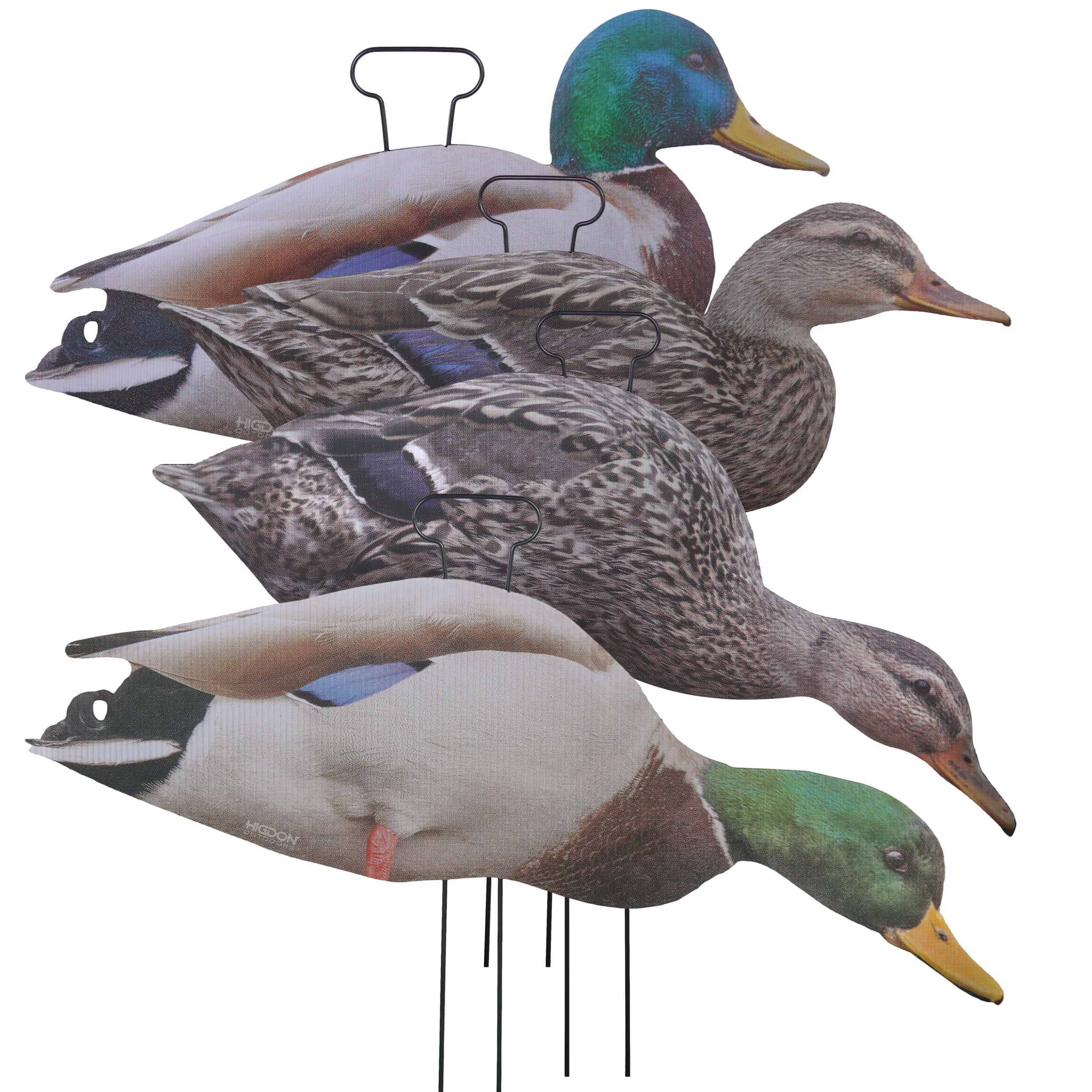 FLATS Mallard Duck Silhouette – Higdon Outdoors