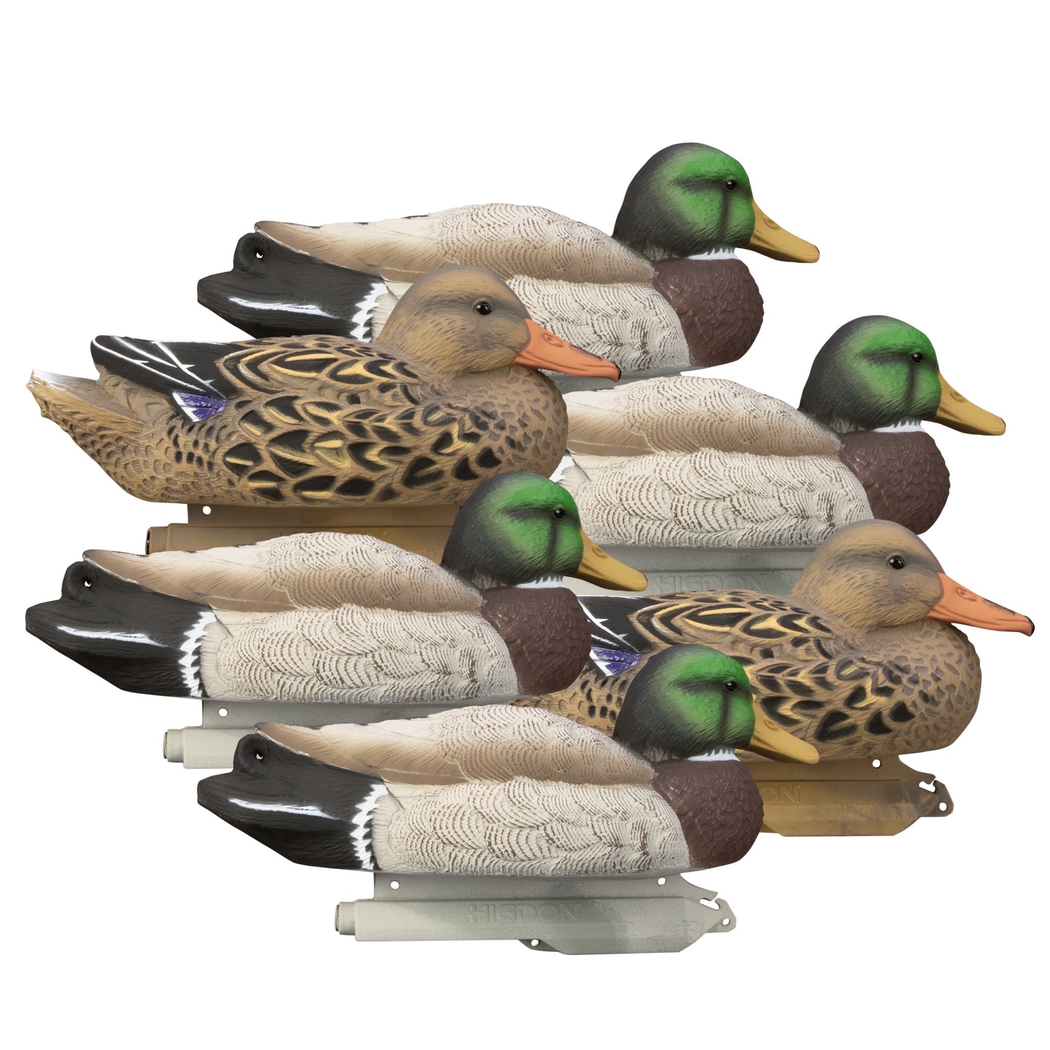 Standard Mallard Filler Pack – Higdon Outdoors