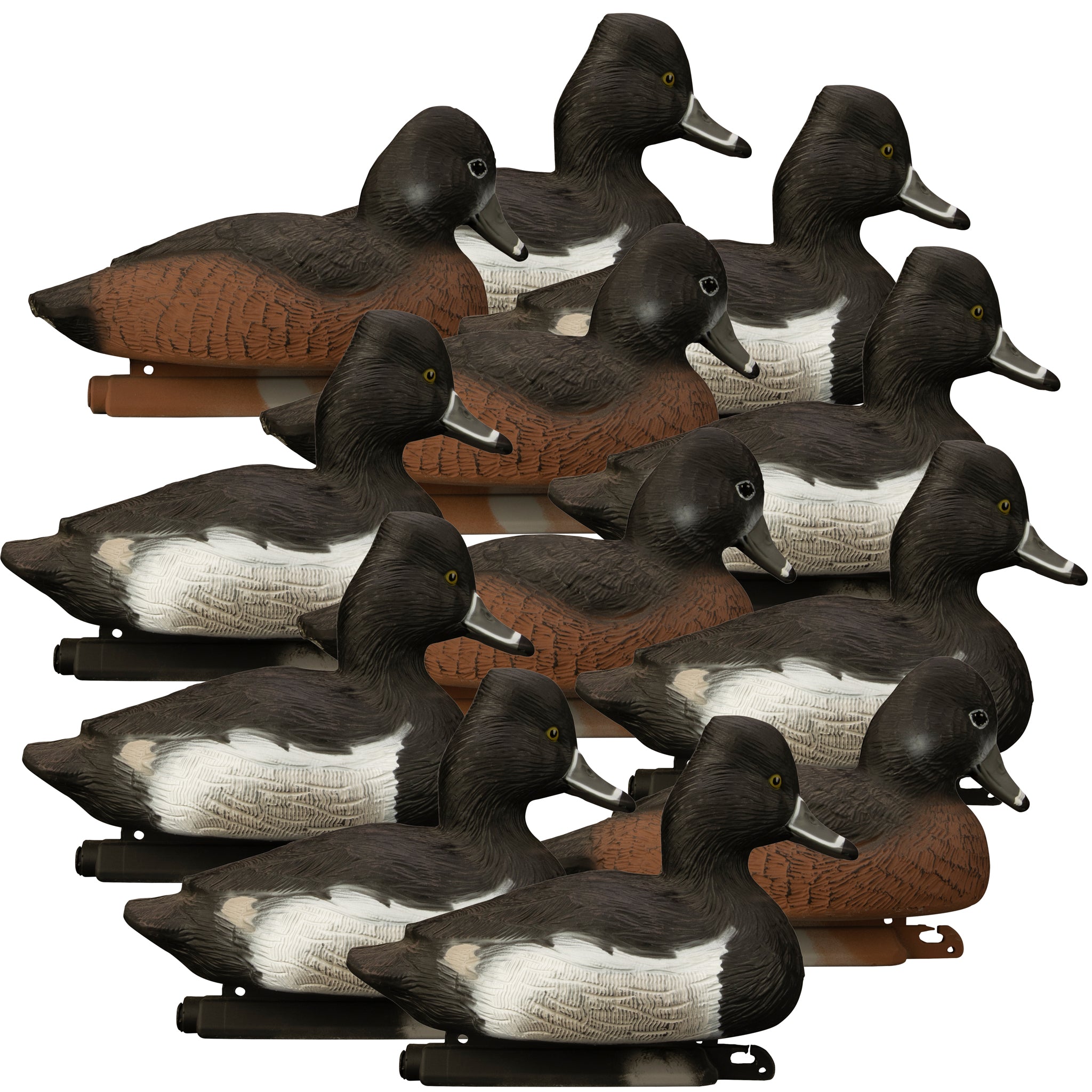 Higdon Standard Ringneck Duck Decoy – Higdon Outdoors