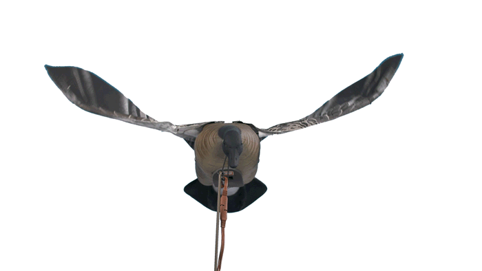 6 Ways to Add Movement To Your Goose Decoy Spread