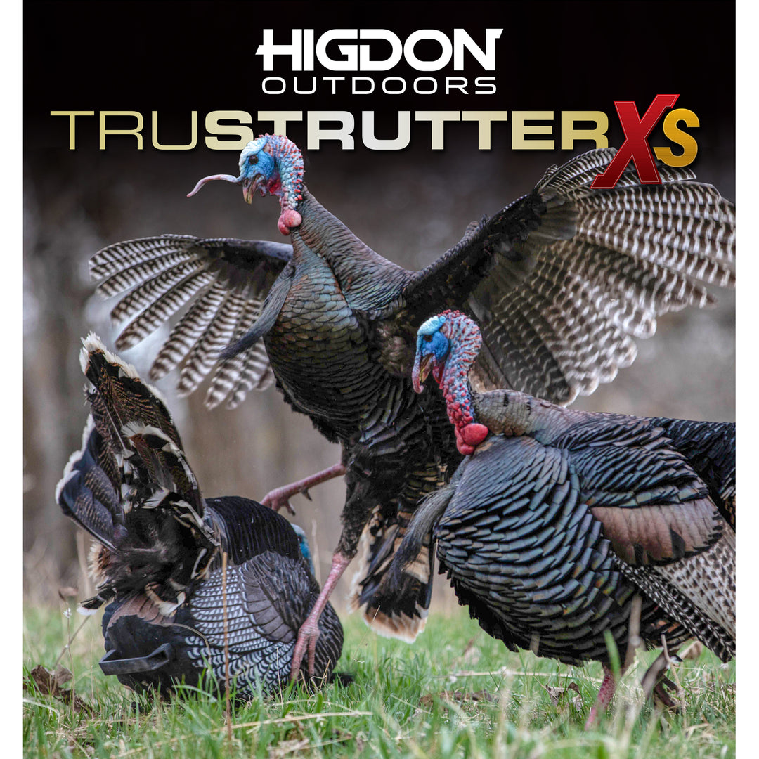 Higdon Decoys Turkey